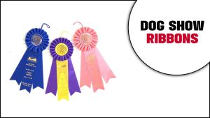 Dog Show Ribbons- Triumph in Style